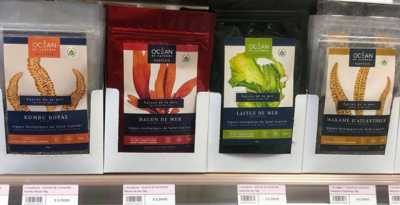 Les algues du Québec pourraient devenir plus populaires chez les ...