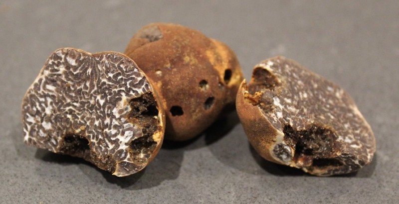 Les truffes du Québec sont uniques au monde- Détaillant Alimentaire