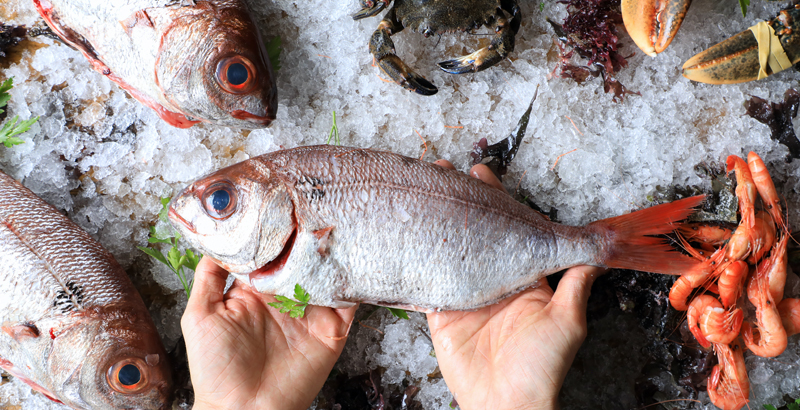 La passion du poisson- Détaillant Alimentaire
