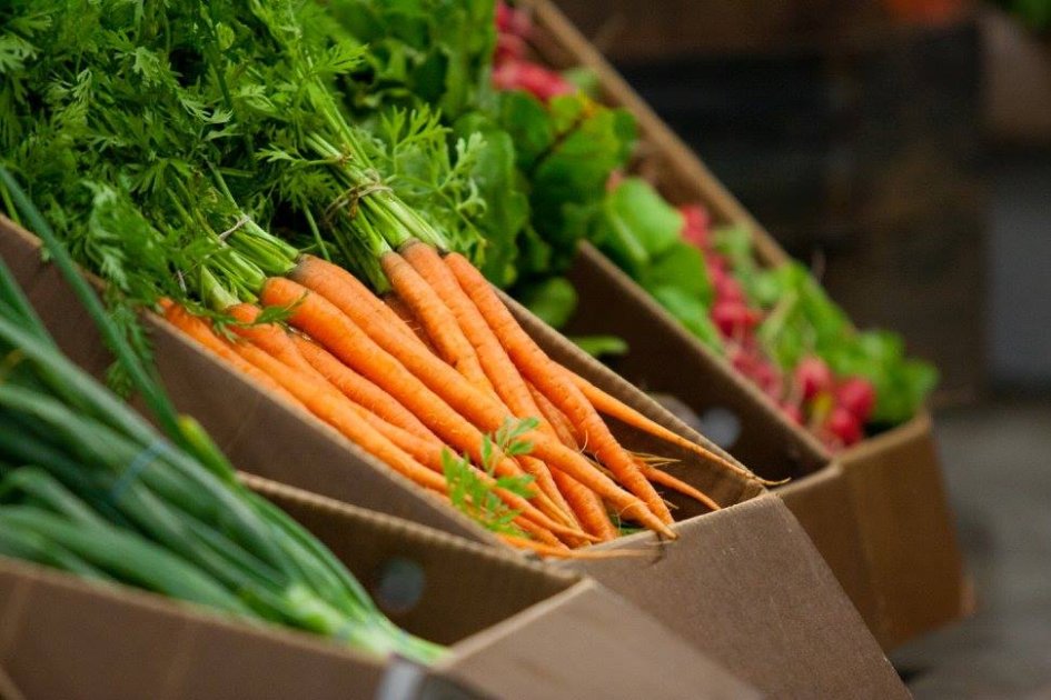PDP crée une plateforme dédiée aux fruits et légumes québécois ...